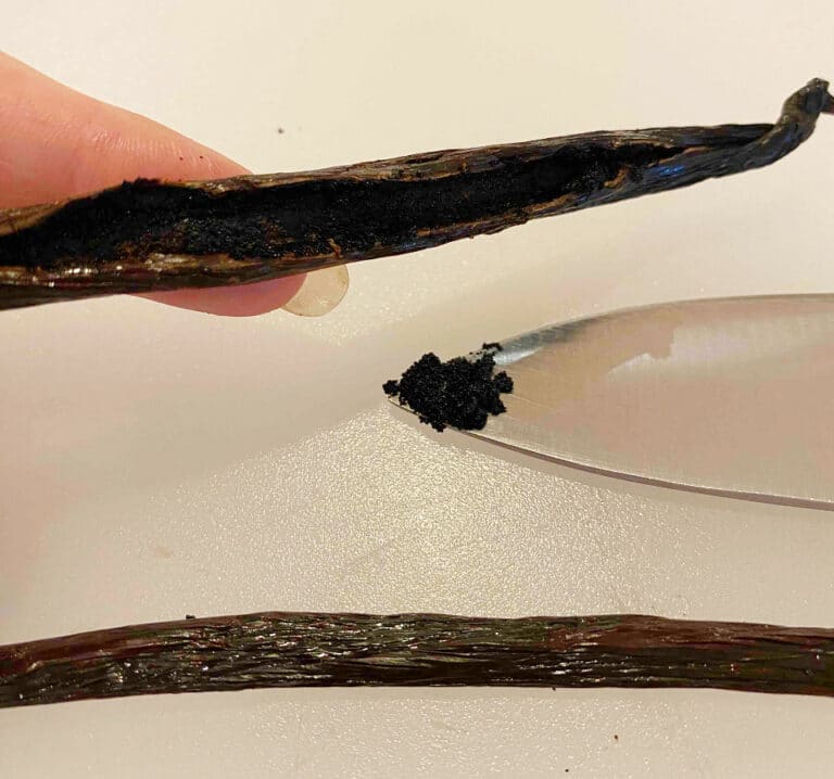 How to Make Your Own Vanilla Extract | Laura M. Ali, MS, RDN, LDN How ...