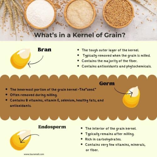 Multigrain vs. Whole Grain Matters - Here’s Why