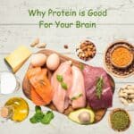 Does Your Brain Need Protein? 6 Reasons Why it Does!